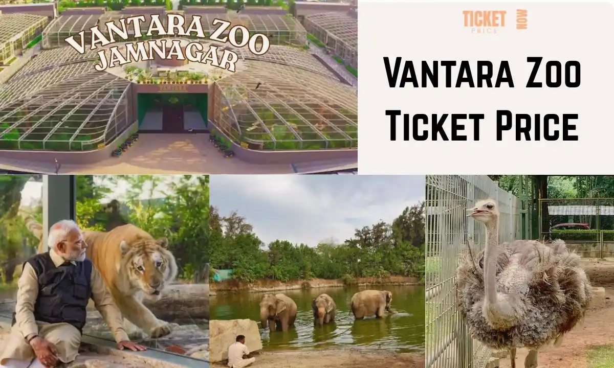 Vantara Zoo Ticket Price 2025, Timings, Location & Entry Details